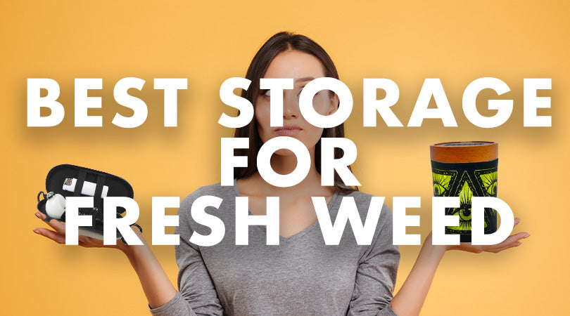 The Perfect Cannabis Storage Containers to Keep Yours Fresh!