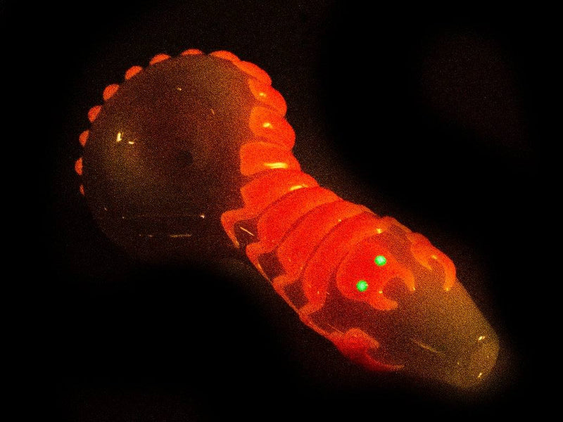Glow in the Dark Scorpion Pipe - Fat Buddha Glass